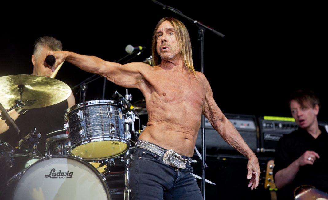 Iggy Pop is Releasing a New Collection of Memorabilia This Year - Hot ...