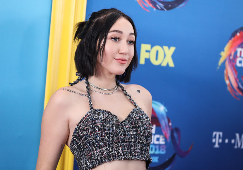 Noah Cyrus Explores Her Country Side in New Music Video